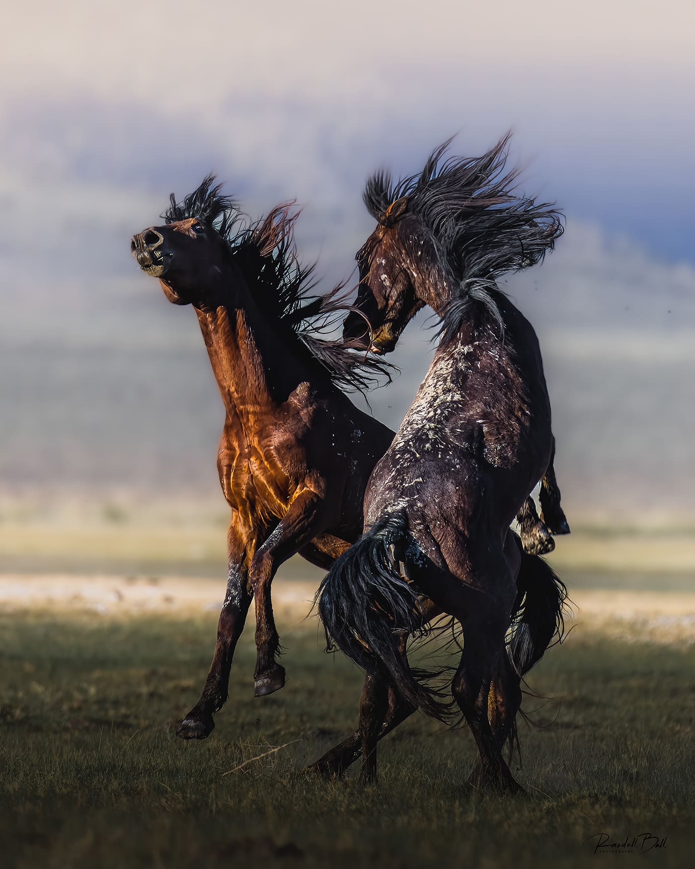 Featured Artist: Randall Ball - Grand River Giclée